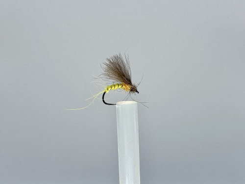 Caddisflies (Trichoptera) • FlyFish Circle