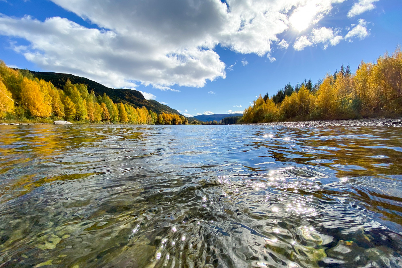 Glomma River • Norway • FlyFish Circle