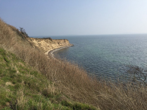 Fly fishing in Denmark • FlyFish Circle