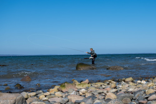 Fly fishing in Denmark • FlyFish Circle