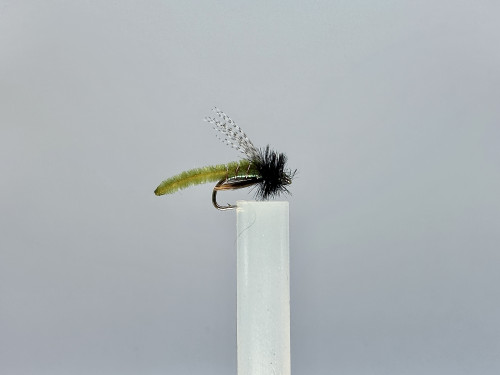 Caddisflies (Trichoptera) • FlyFish Circle