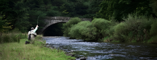Fly fishing in United Kingdom • FlyFish Circle