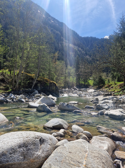 Fly fishing with poppers: everything you need to know • FlyFish Circle