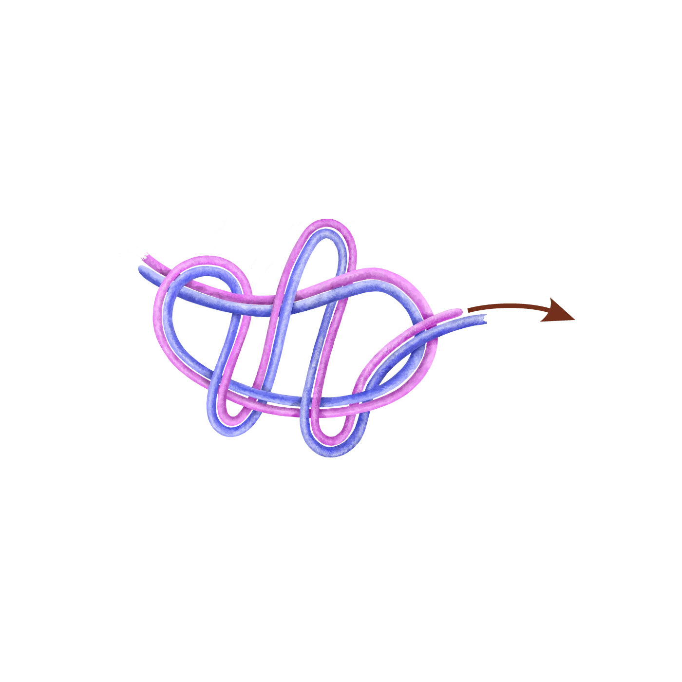 How to tie the J Knot • FlyFish Circle