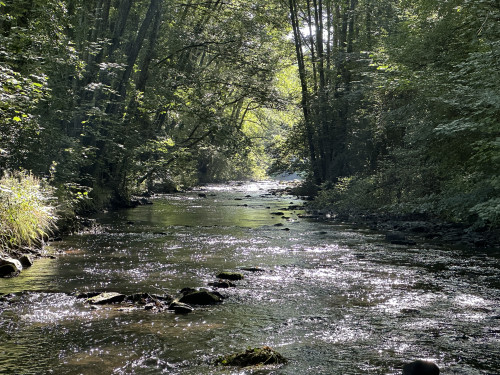 Fly fishing in Belgium • FlyFish Circle