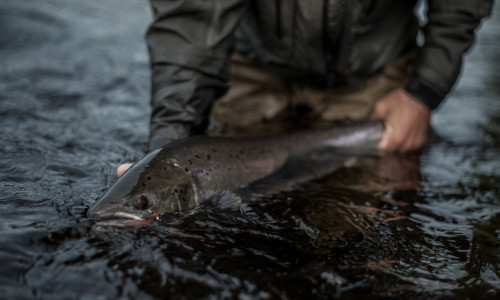 Fly fishing guides in United Kingdom • FlyFish Circle