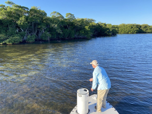 Fly fishing with poppers: everything you need to know • FlyFish Circle