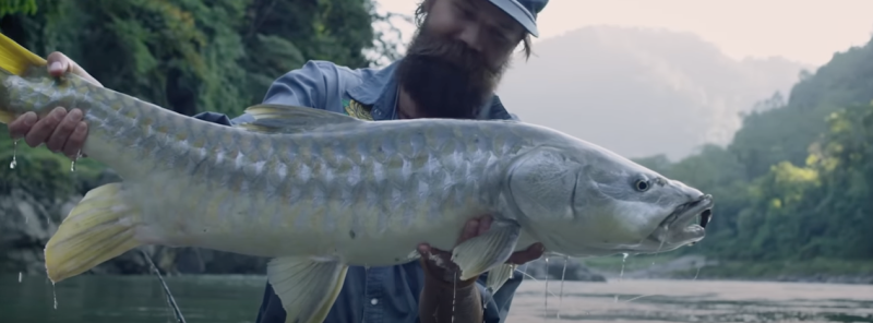 Fly Fishing Videos • FlyFish Circle