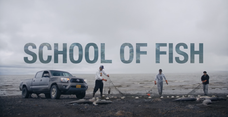 65 Days in Baja: the search for one of the rarest fish on earth • Fly ...