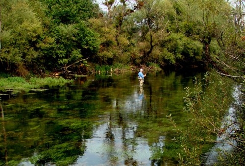 Perdigon Nymphs: history, features, how to tie them and how to fish ...