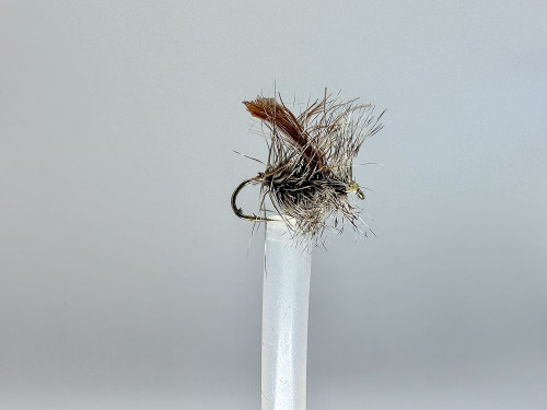 True Flies (Diptera) • FlyFish Circle