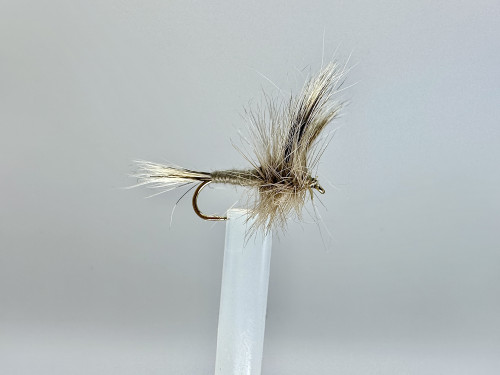 Mayflies (Ephemeroptera) • FlyFish Circle