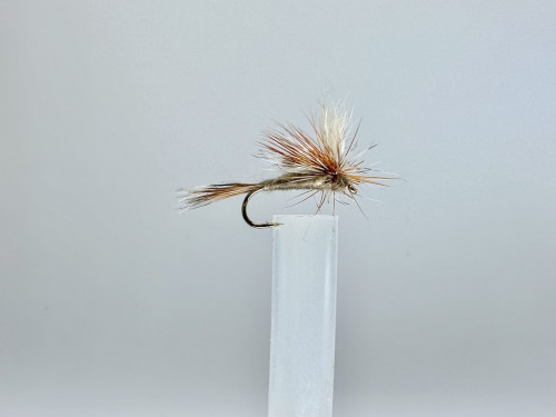 Mayflies (Ephemeroptera) • FlyFish Circle