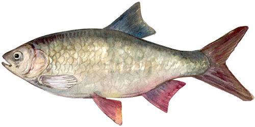 Discover fly fishing around the world • FlyFish Circle