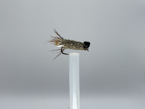 Caddisflies (Trichoptera) • FlyFish Circle