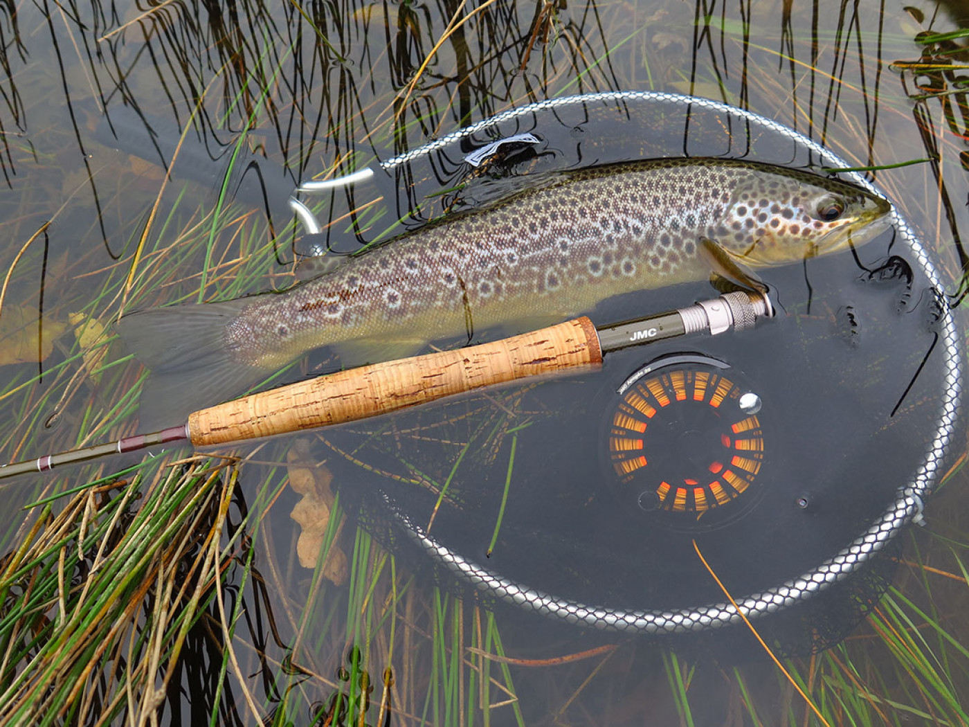 Thierry Millot • FlyFish Circle